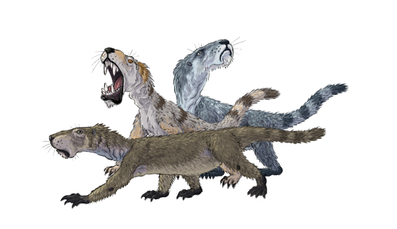 Brushstrokes: Digital animal illustrations